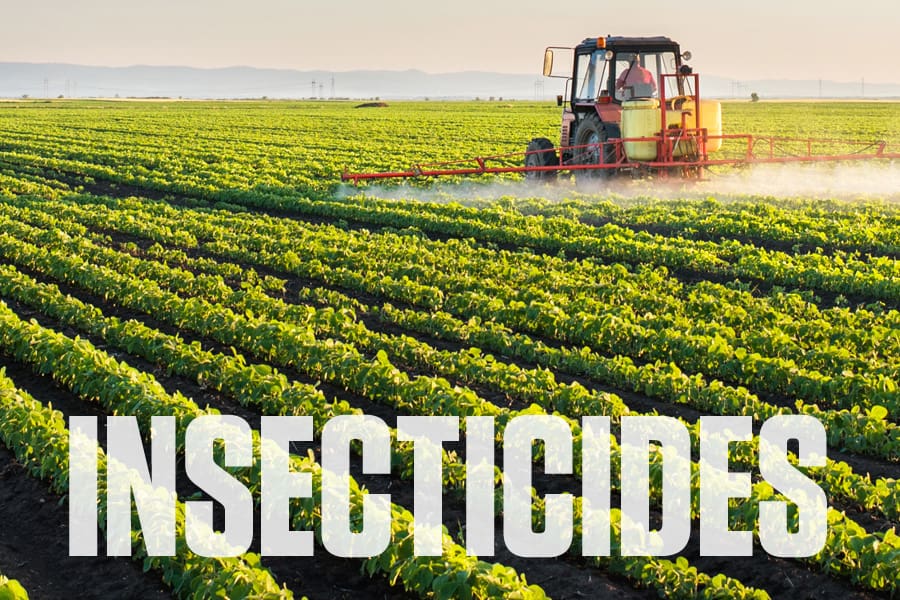 Insecticides | AgriSelect